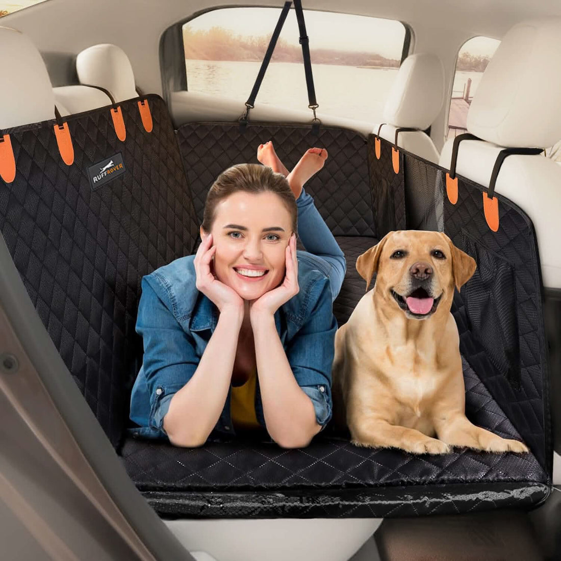 Siège Auto pour Chien : Sécurité et Protection Optimales – MINOPIA